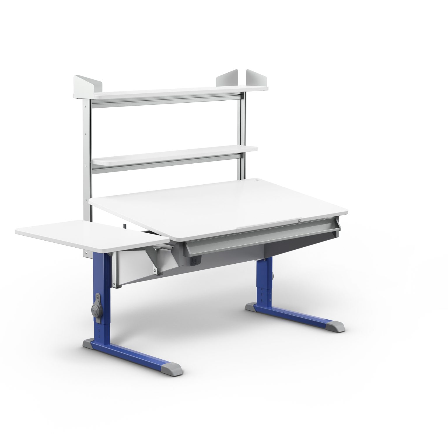 moll Bandit | Ergonomic Solutions