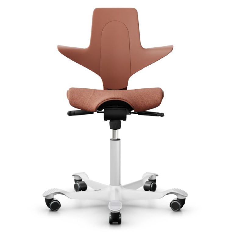 Ergonomic Solutions HAG Capisco Puls 8020 - NEW 2024 Colours